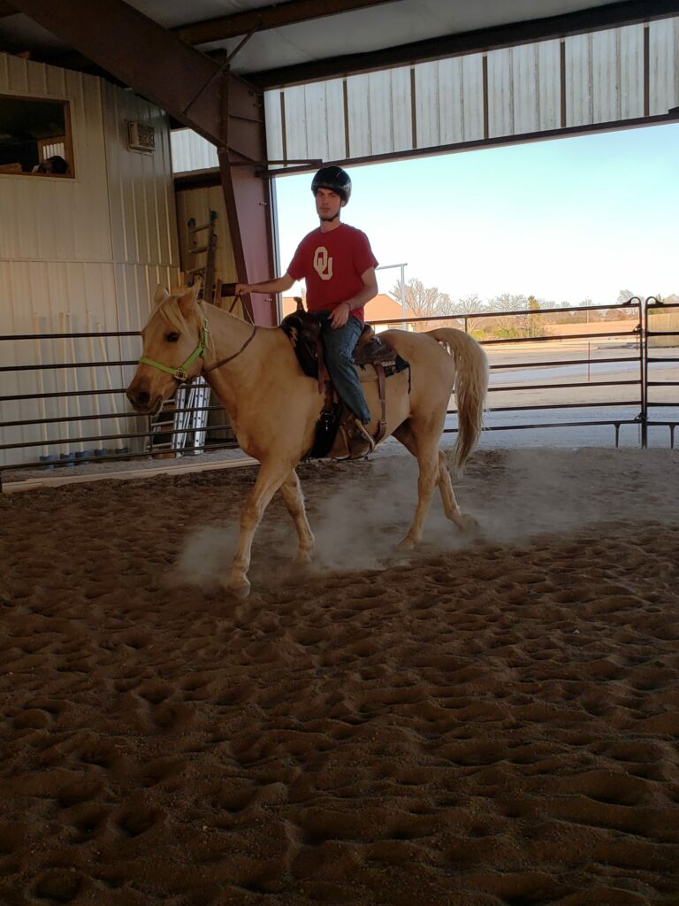 Sponsor a Horse v2 - Home of Hope